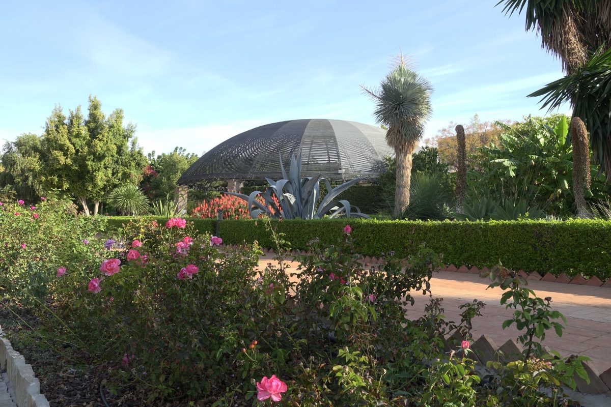 Visita al Jardín Botánico de la Universidad de Málaga - Turismo Científico