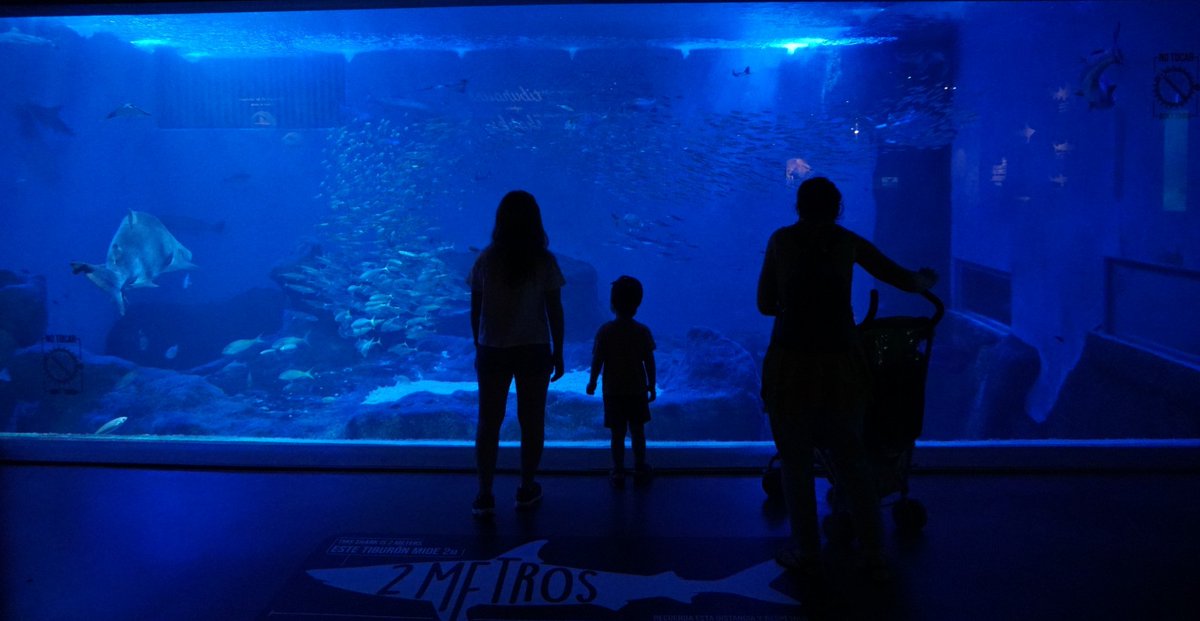 Visita al Acuario de Sevilla - Turismo Científico